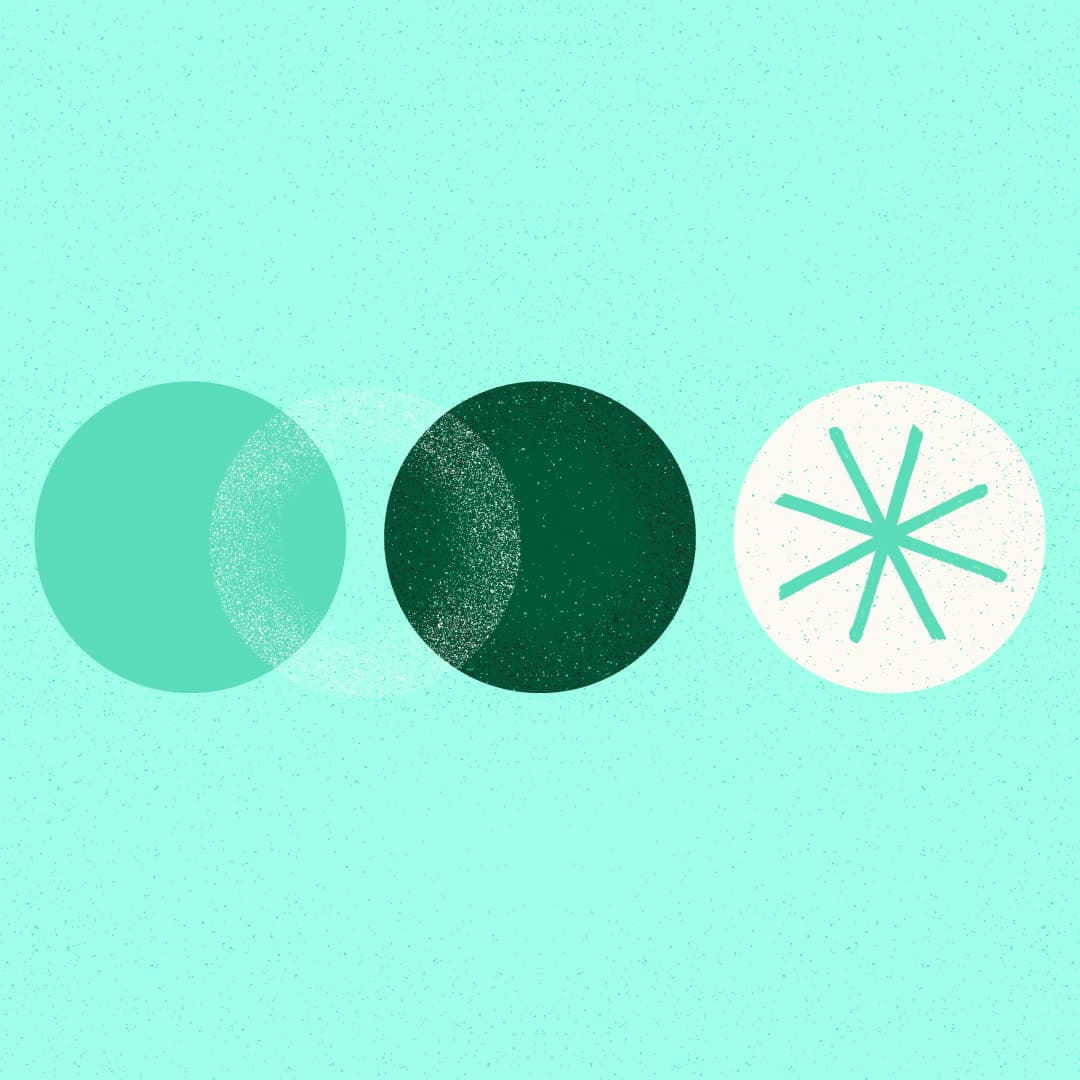 Polarization Detox Challenge - Daily Exercises